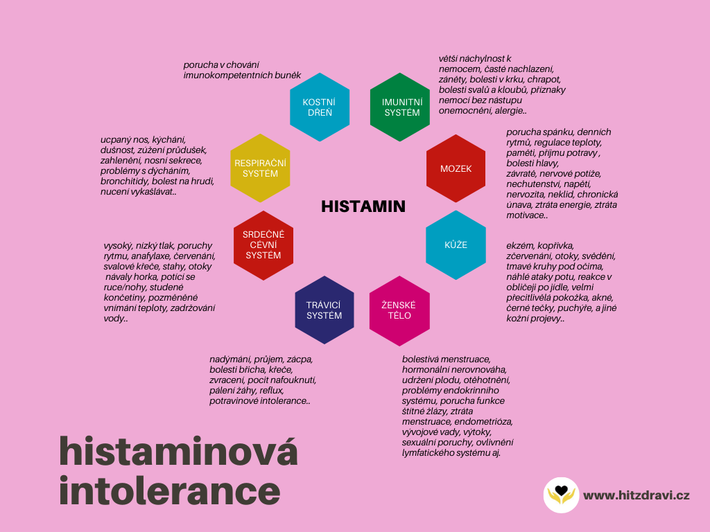 Co je to histaminová intolerance? | Jaké jsou příznaky histaminové ...